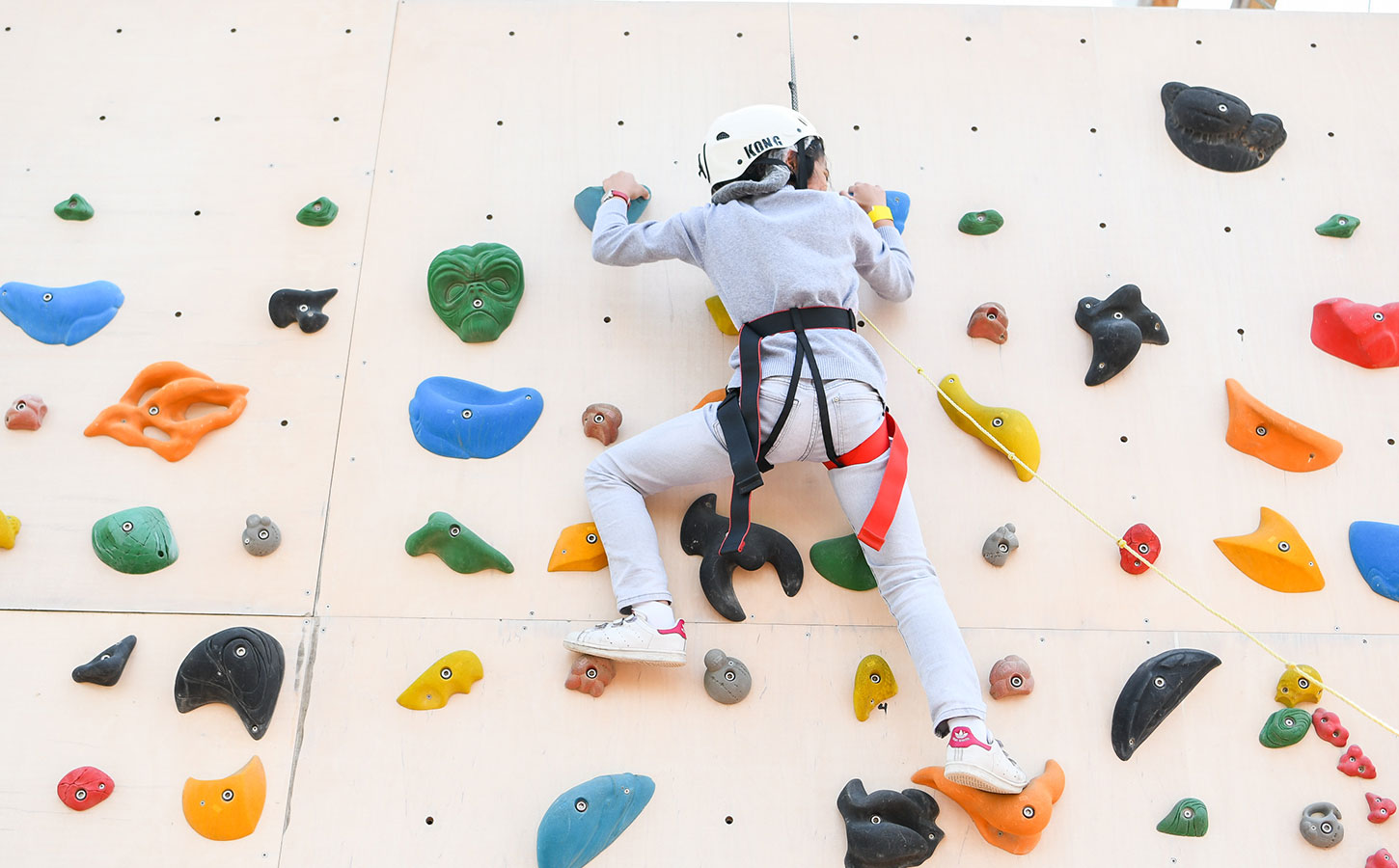 UCC Holding - Building for Generations